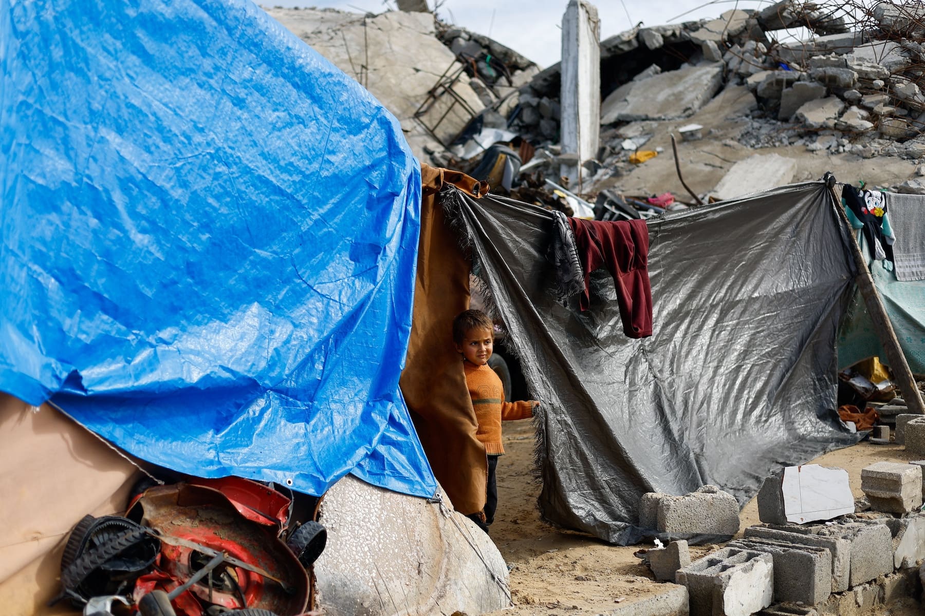 Israel Revokes Licenses of Aid Agencies in Palestine | CNEWA Canada