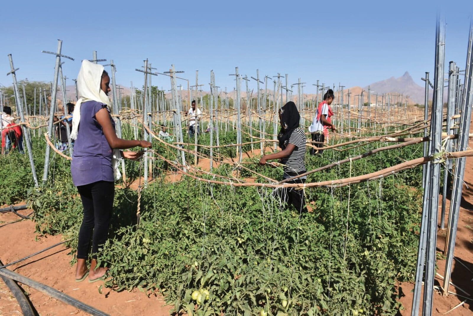 A Letter From Eritrea | ONE Magazine