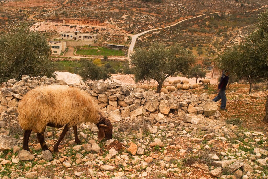 ONE @ 50: A Priest of Palestine | CNEWA